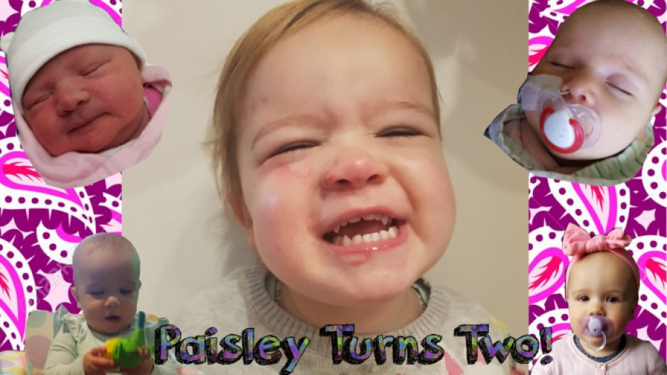 Paisley turns two
