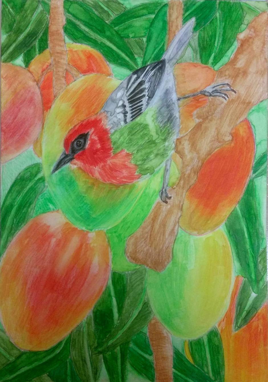 The Mango Tree