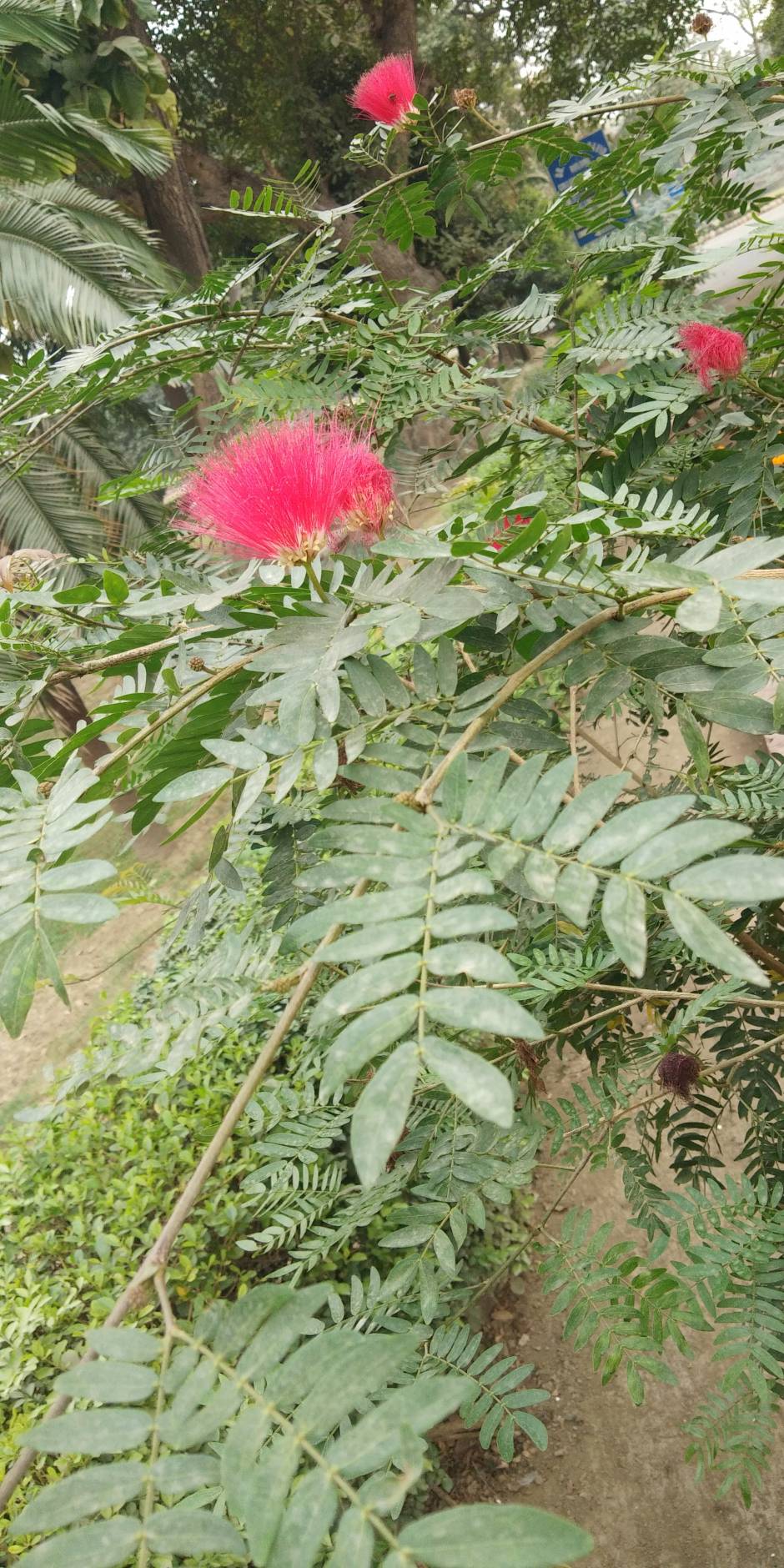Nature