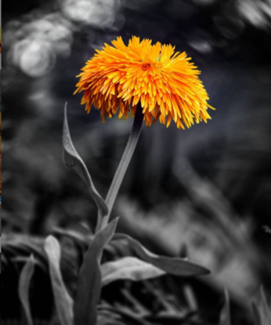 random mobile photography