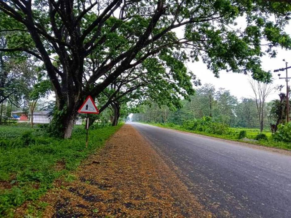 The beautiful nature