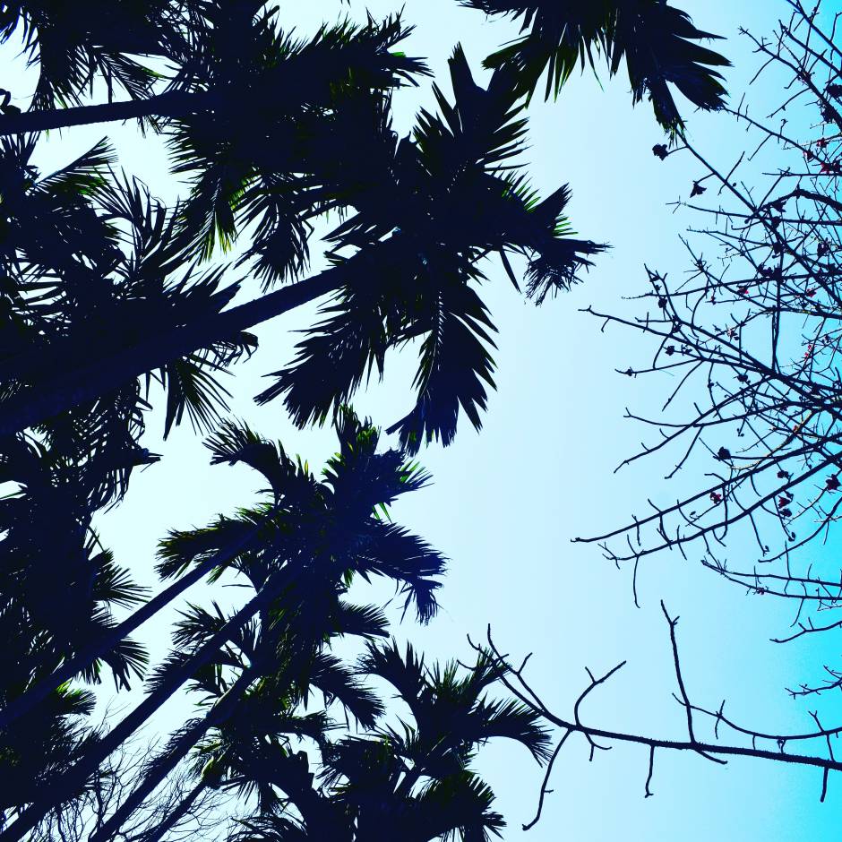 my way to look at life