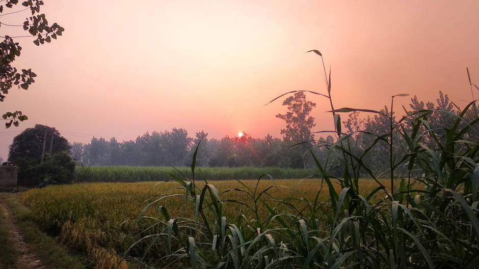 Village morning view