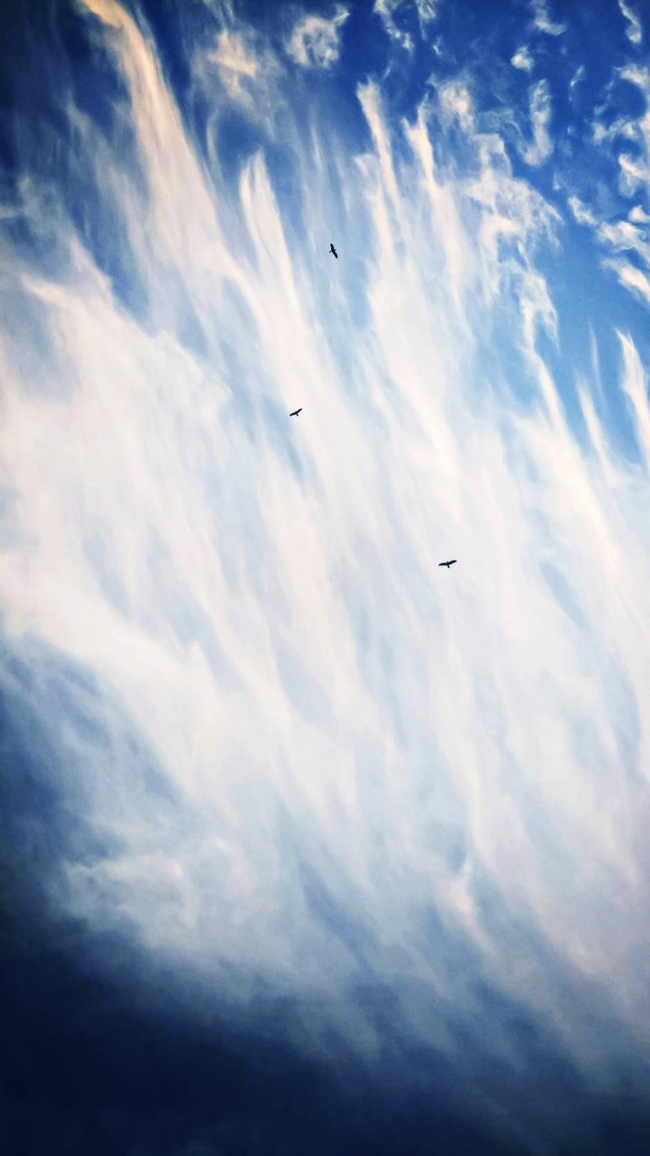 Expand the wings of freedom and fly high.