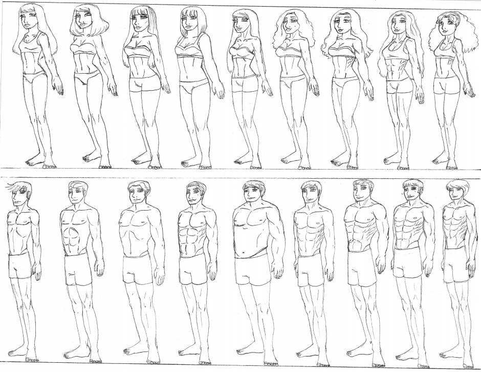 Male and Female body types