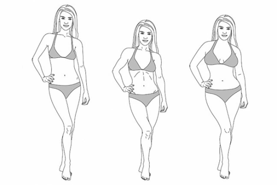 body composition exercises drawing