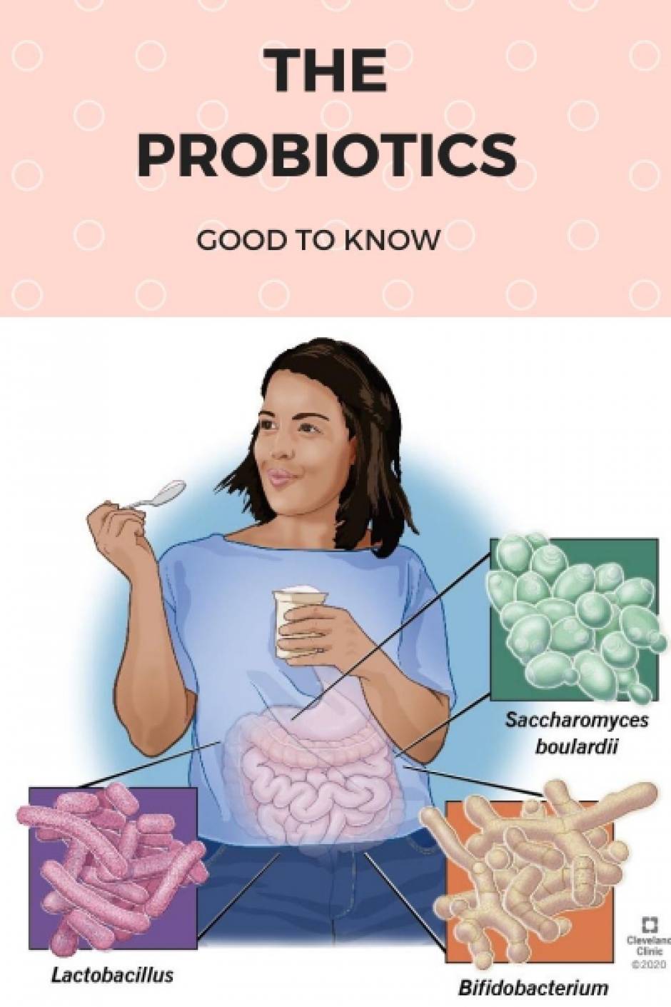 THE PROBIOTICS-GOOD TO KNOW