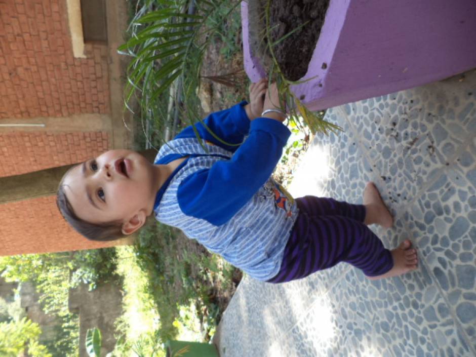 Toddler's transition to walking