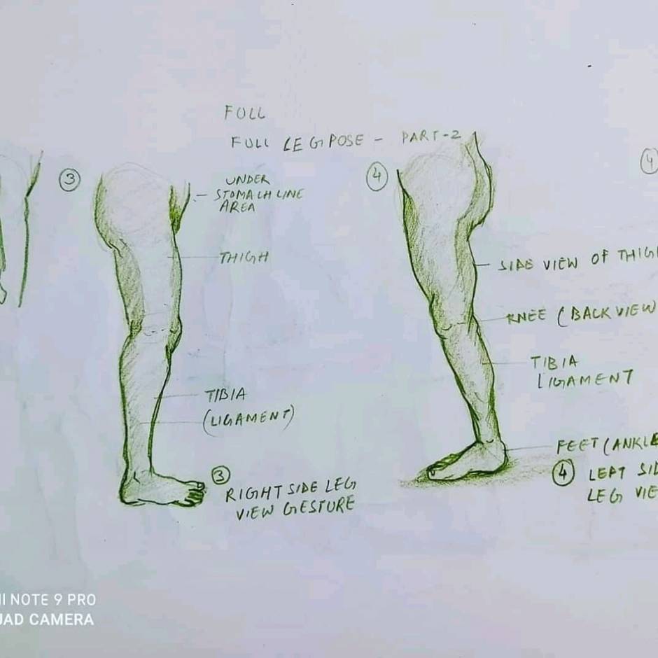 Anatomy study of legs part-3