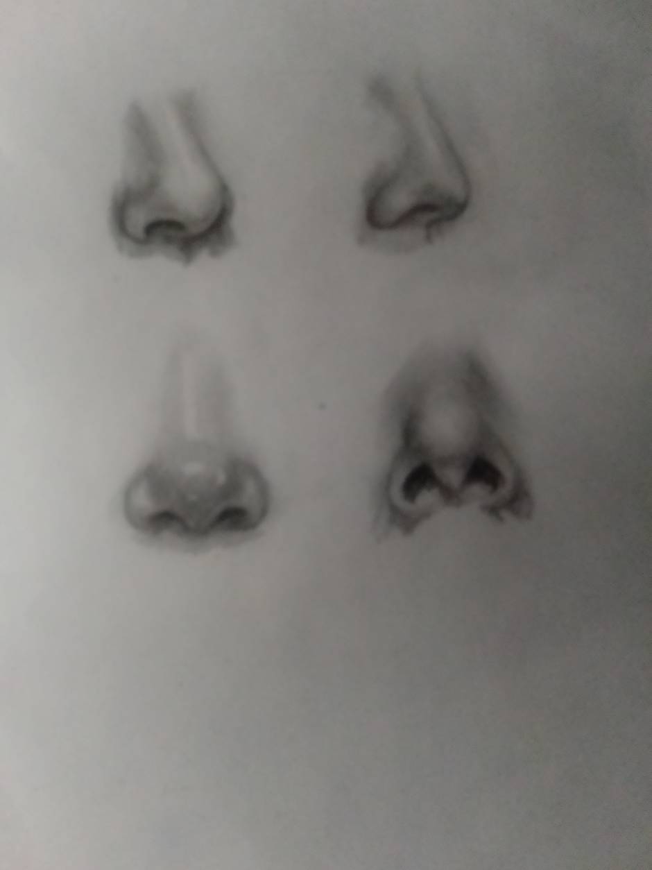 Nose Study