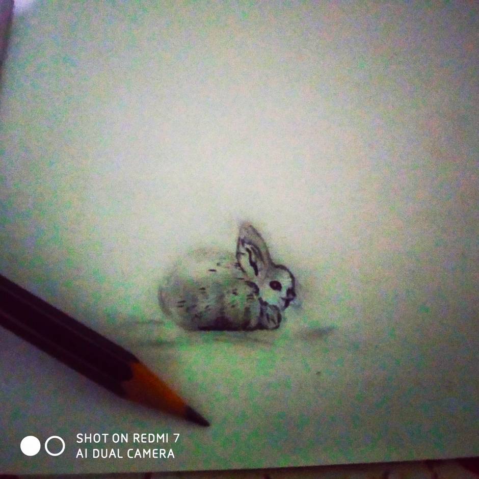Mini rabbit sketch.... #jsart#miniatureart