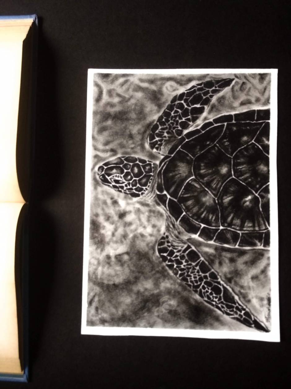 Sea turtle in charcoal