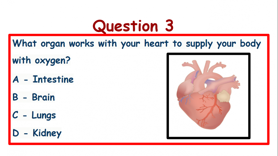 Challenge: Can you score 100% in this Science quiz? - Fuzia