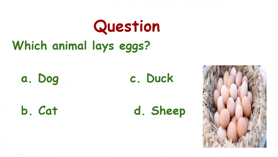 Challenge: Can you pass this easy science quiz? - Fuzia