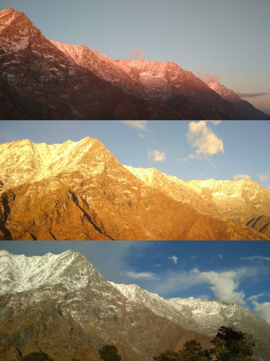 Different shades of Nature