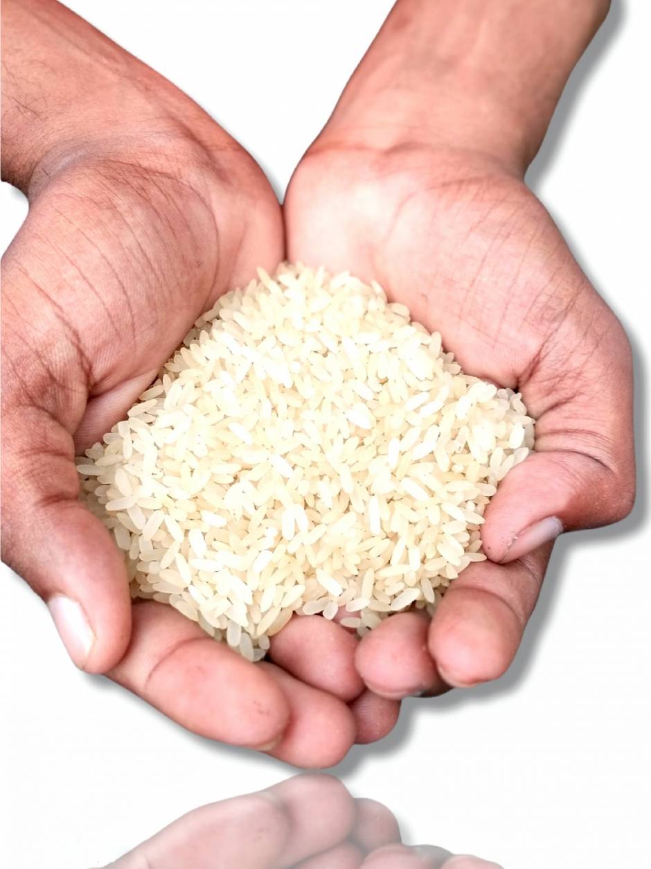 Basmati rice with hand