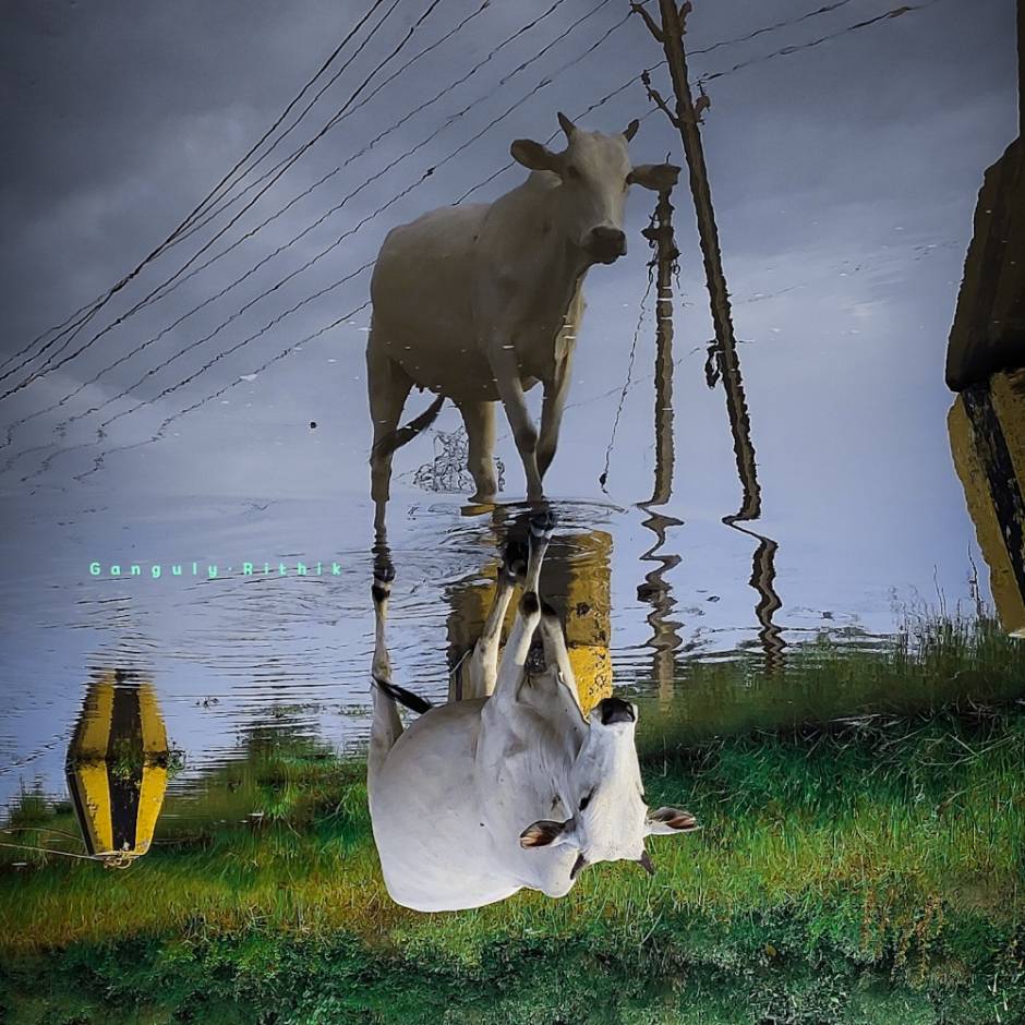 Rotate photo and see