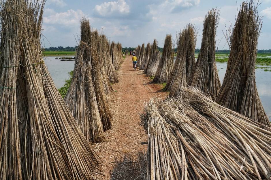 View through the jute.