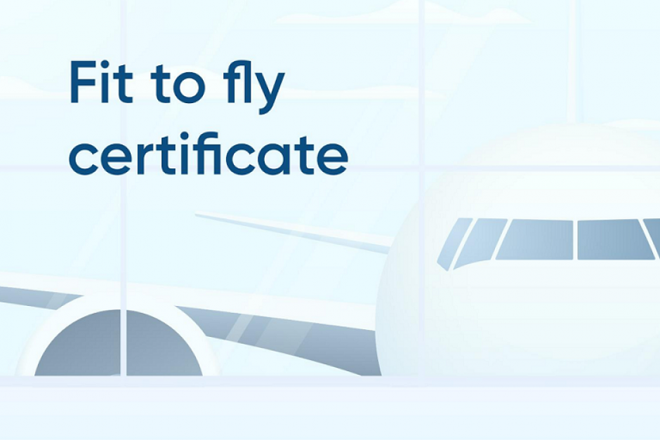 Fit To Fly Certificate Template