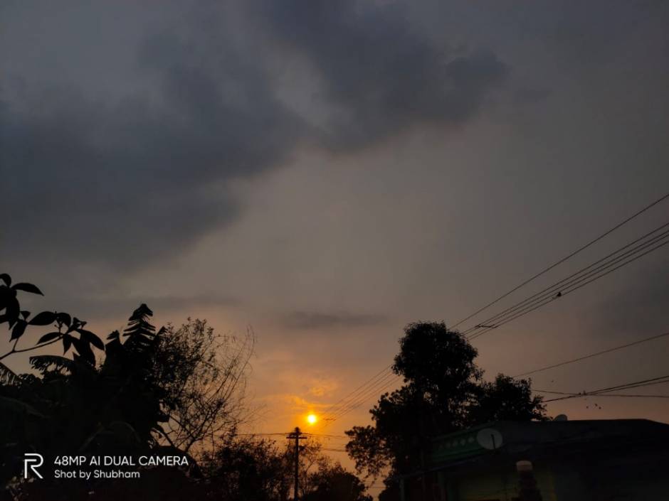 The livery of the shaded sun