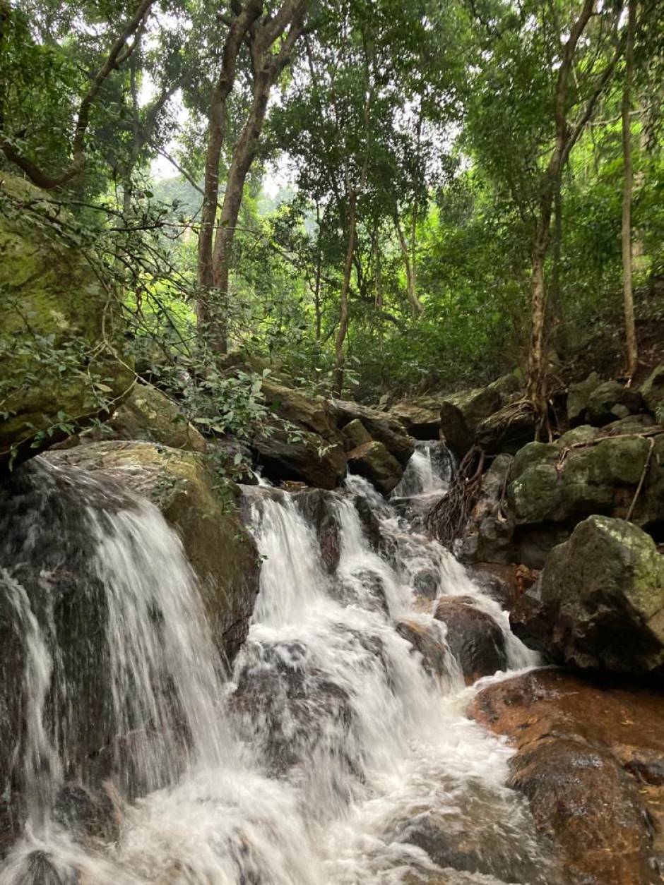On the way to Rampa Chodavaram waterfalls, Andhra, India