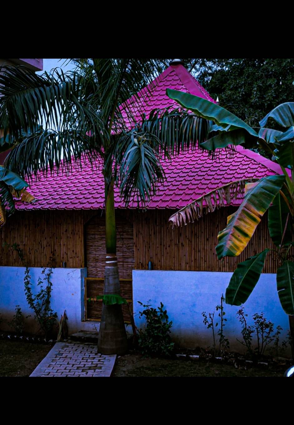 Best click from 2020