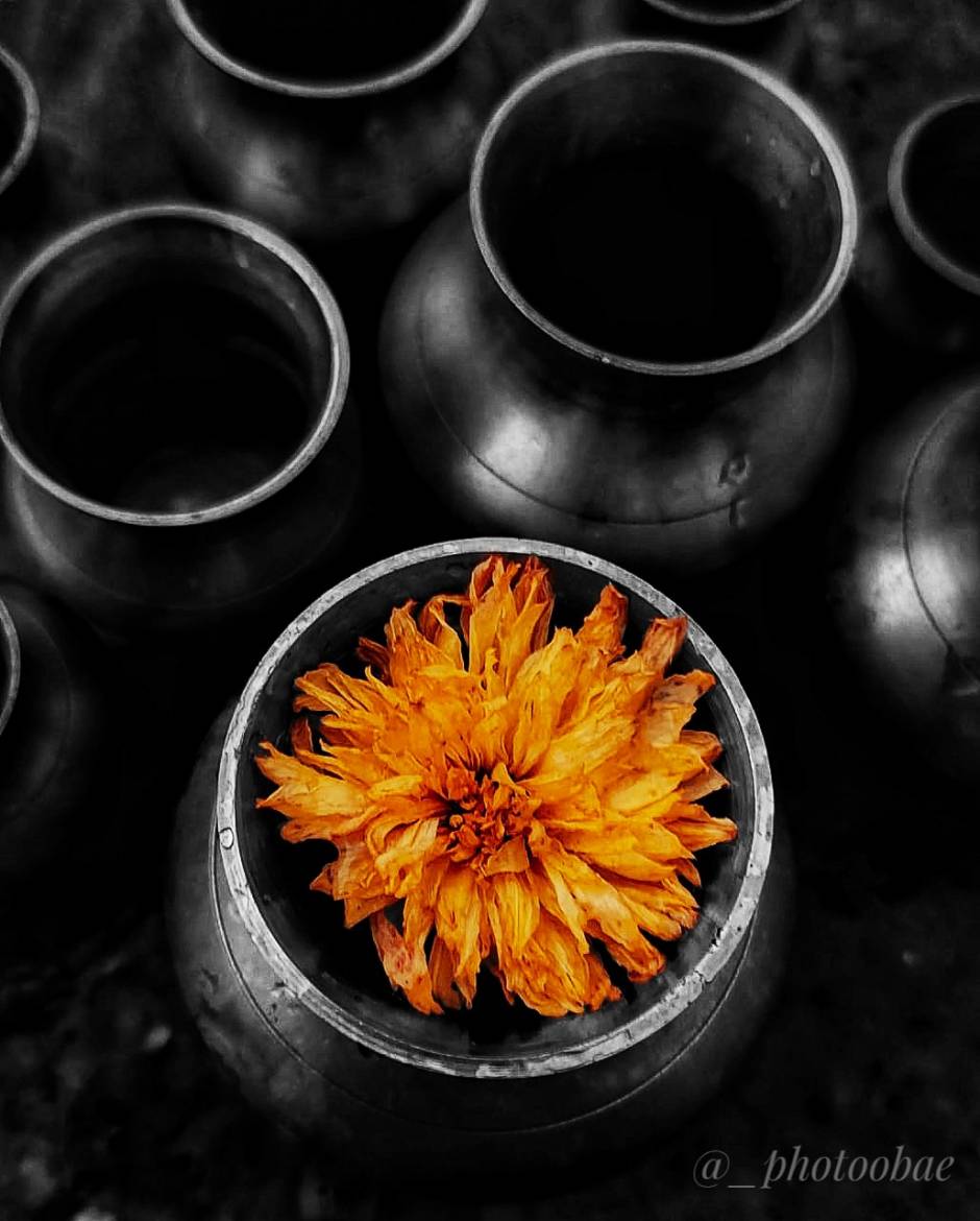 Colour pop up photography