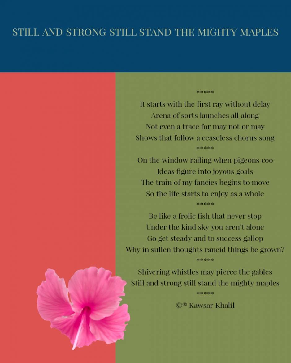 STILL AND STRONG STILL STAND THE MIGHTY MAPLES