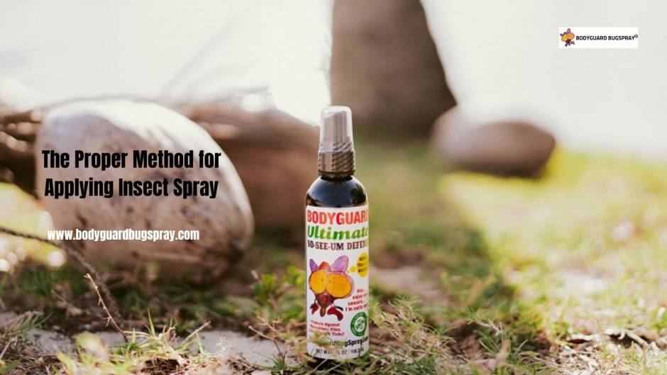 The Proper Method for Applying Insect Spray