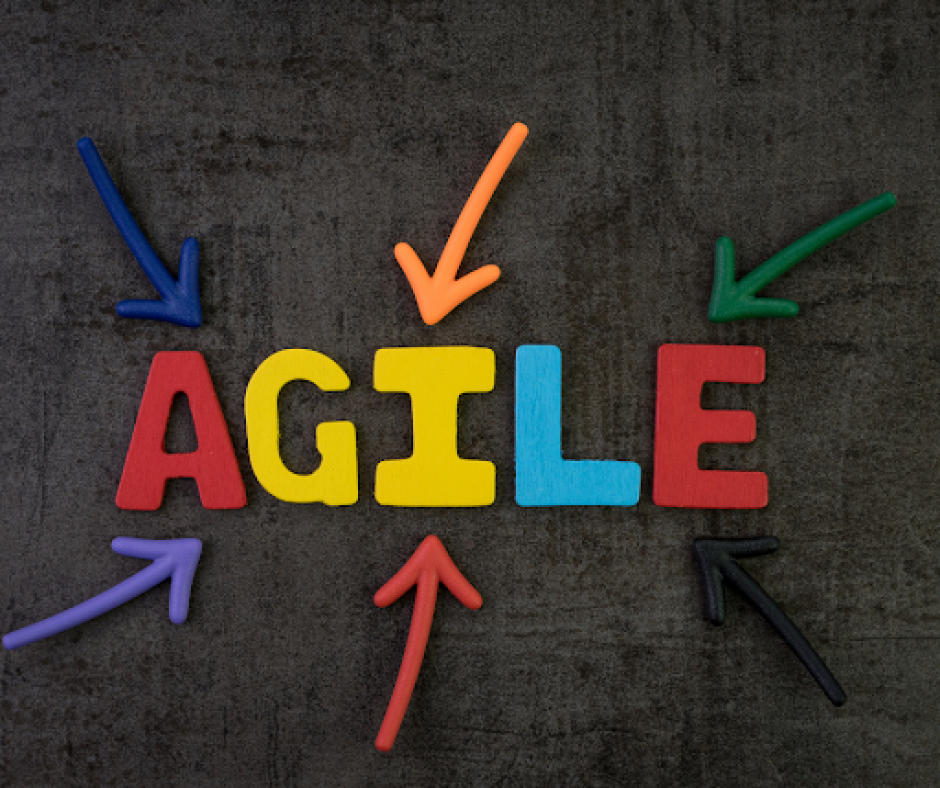 Introduction to the Disciplined Agile Principles- DASSM