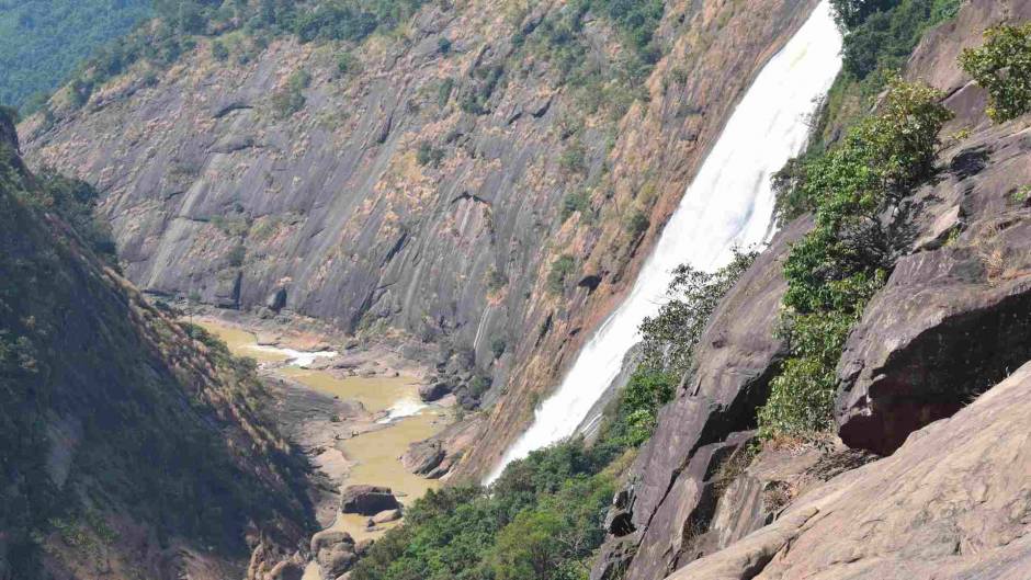 Some of Experiences During a Visit to Konark Eco Retreat?