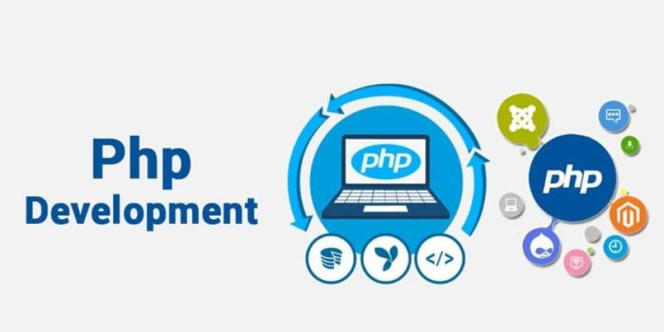 Why Did PHP Become So Popular Among Developers? Why Did PHP Become So Popular Among Developers?