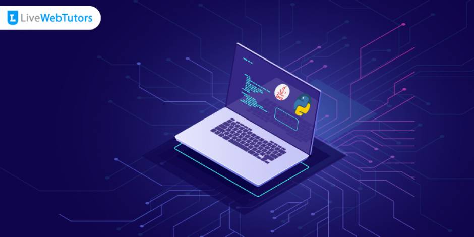 What Makes a Programming Assignment Help So Important?