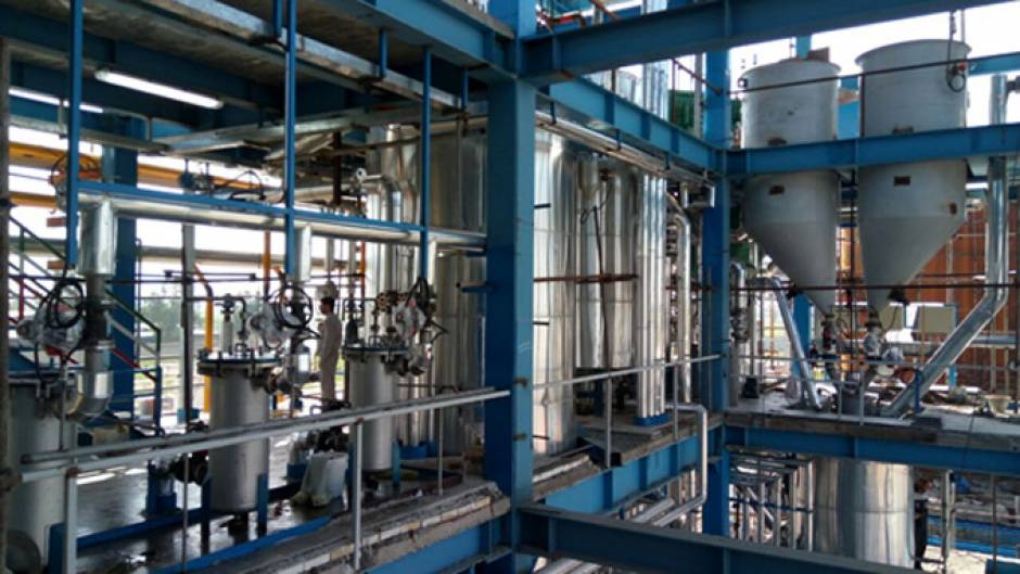 Key Points to Know about Crude Palm kernel oil processing