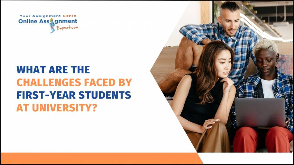 What Are The Challenges Faced By First-Year Students?