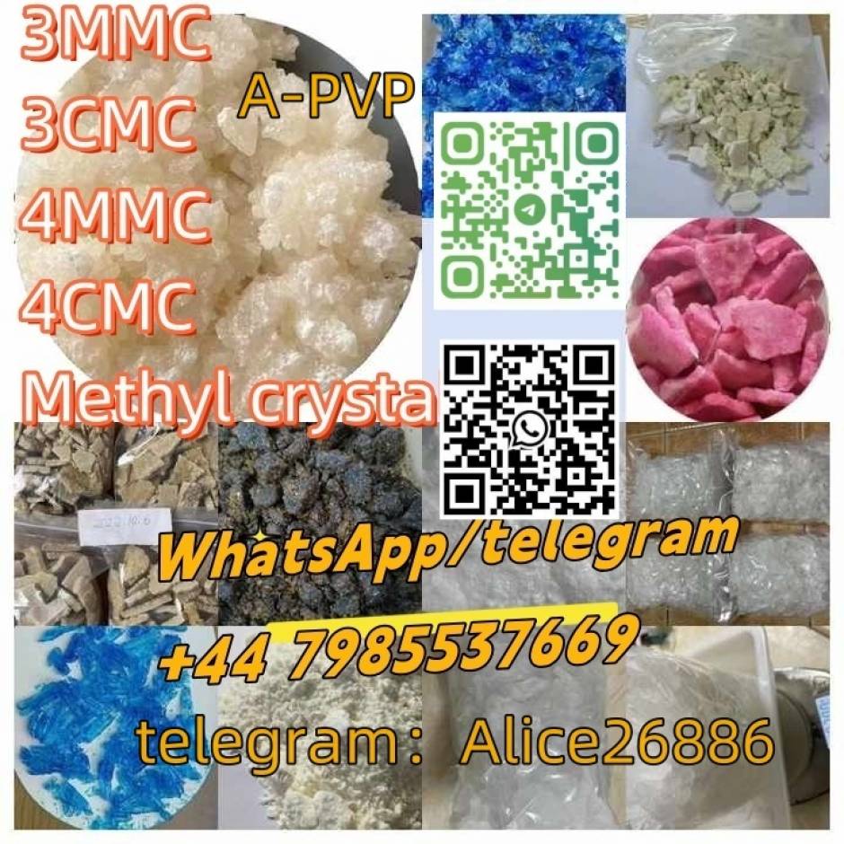 Narayan Nagbali Pooja: Unlocking Divine Blessings and Ance