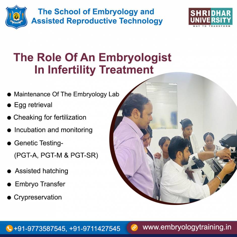 What Does a Clinical Embryologist Do?