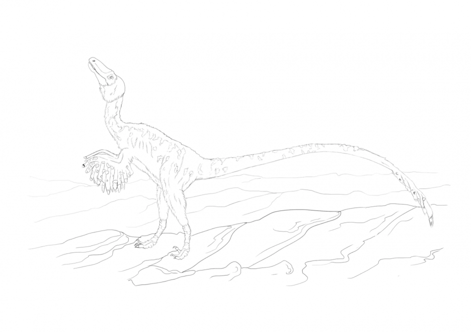 Unleashing Creativity with Adasaurus Coloring Pages