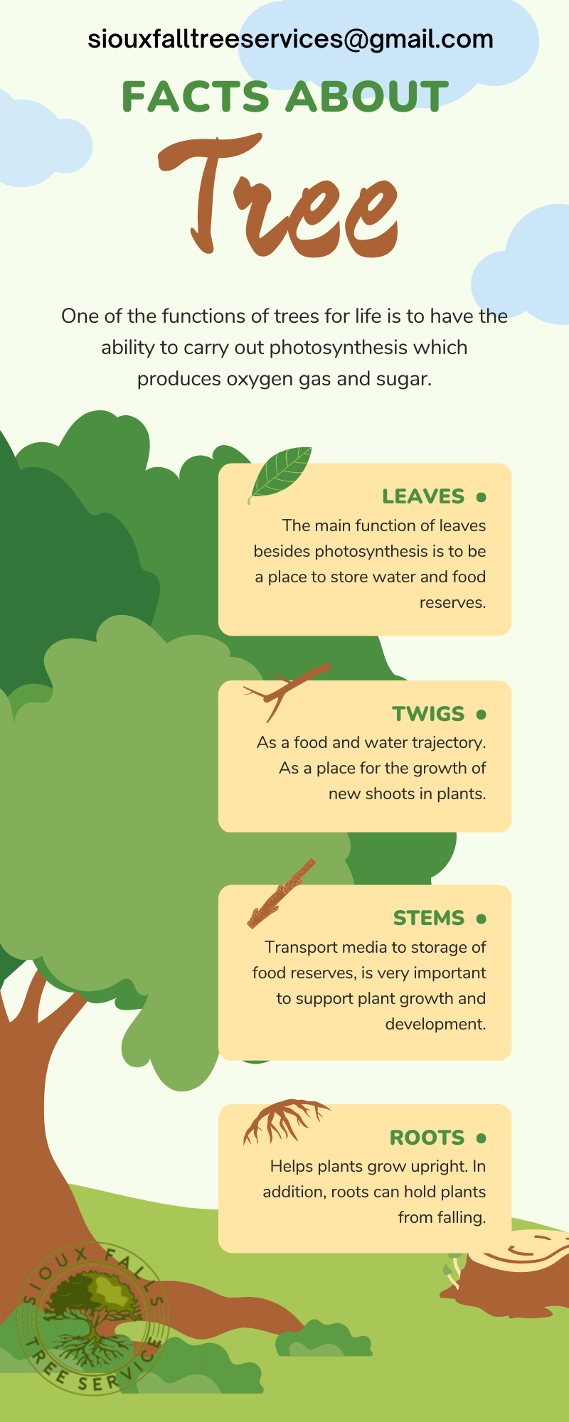 Facts About Trees [Infographic]