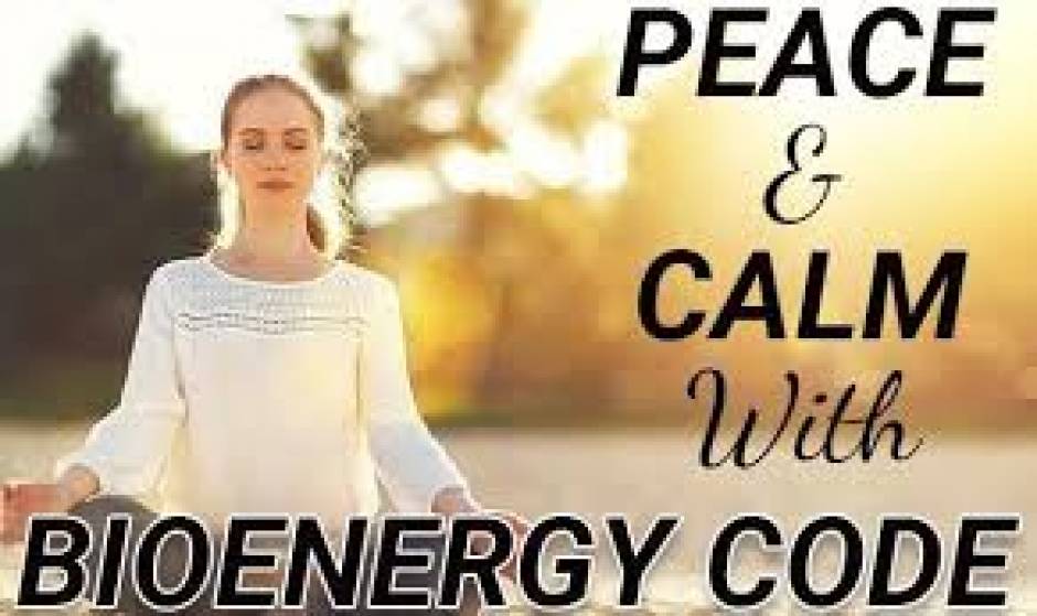 The BioEnergy Code is a powerful manifestation program