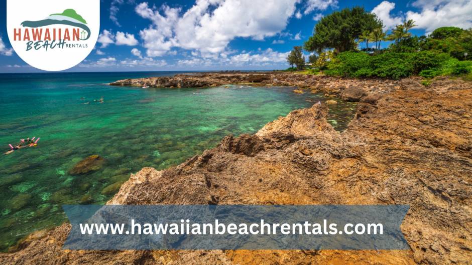 Things to Do in Pupukea Beach Park: List for Every Visito