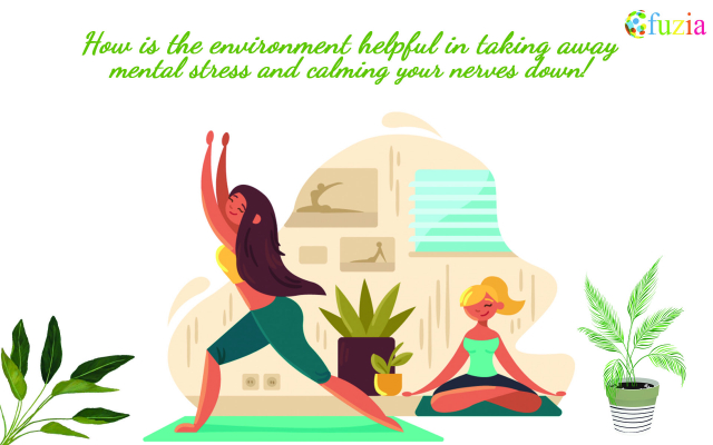 How is the Environment Helpful in Taking Away Mental Stress and Calming ...