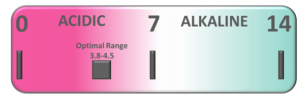 Why Maintaining The PH Balance Is Essential For Women? - Fuzia