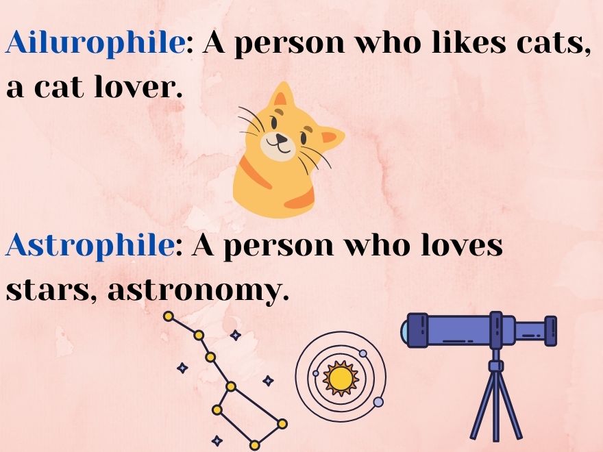 10 Philes and What They Love - Fuzia